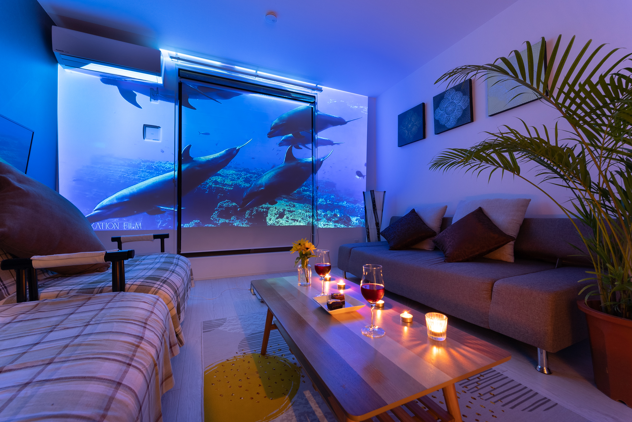 【公式】ディア・シー宮古島（Dear Sea Miyakojima）宿泊・アクティビティ